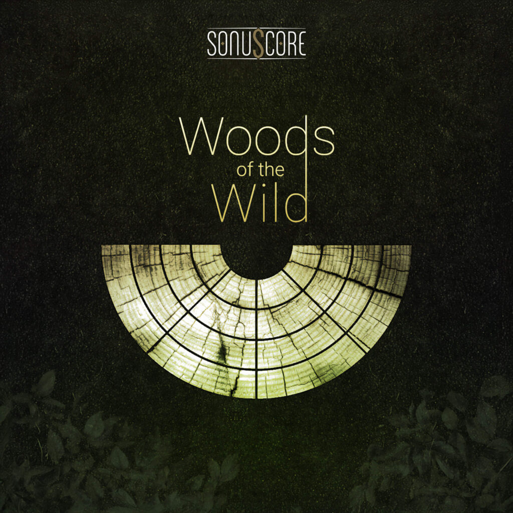 Hollywood Fantasy Orchestra - Sonuscore