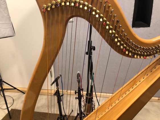 NEW RELEASE | CELESTIAL HARP - Sonuscore